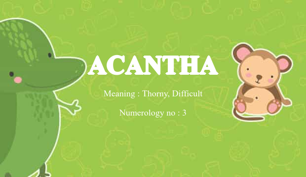 Acantha Name Meaning