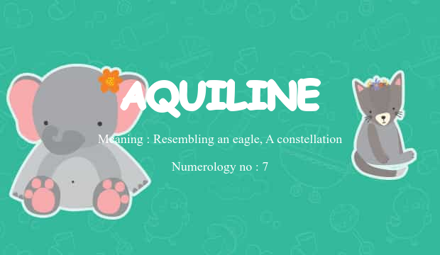 Aquiline Name Meaning
