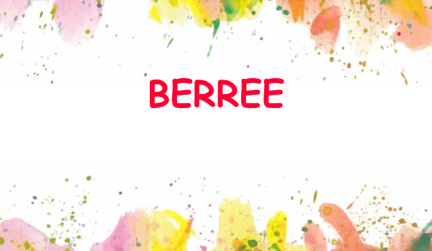 Berree Name Meaning