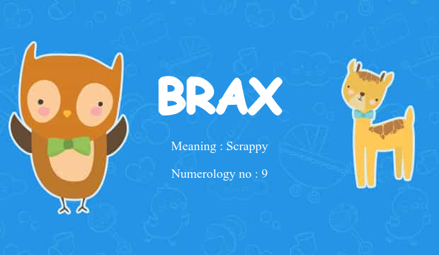 Brax Name Meaning