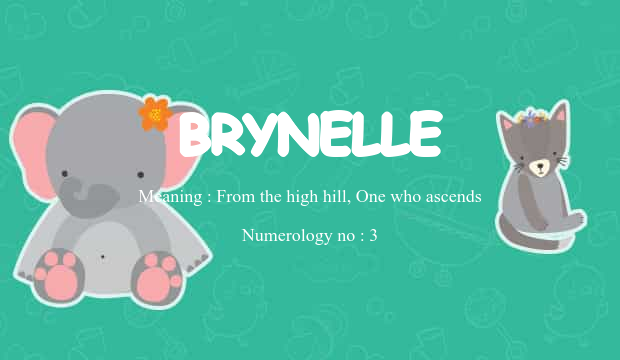 Brynelle Name Meaning