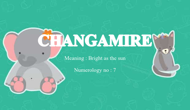 Changamire Name Meaning