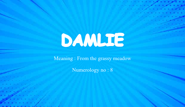 Damlie Name Meaning