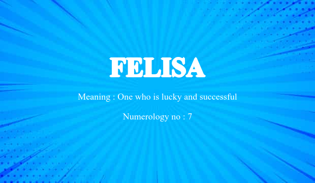 Felisa Name Meaning