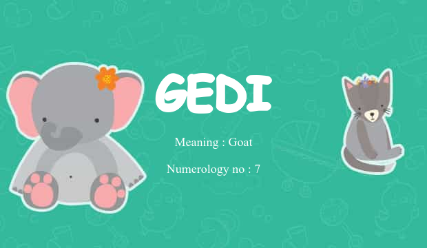Gedi Name Meaning