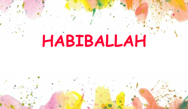 Habiballah Name Meaning