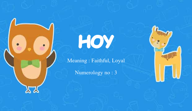 Hoy Name Meaning