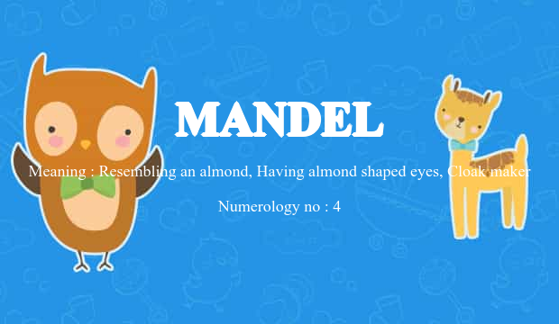 Mandel Name Meaning