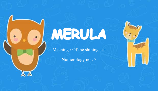 Merula Name Meaning