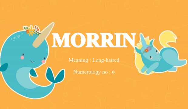 Morrin Name Meaning