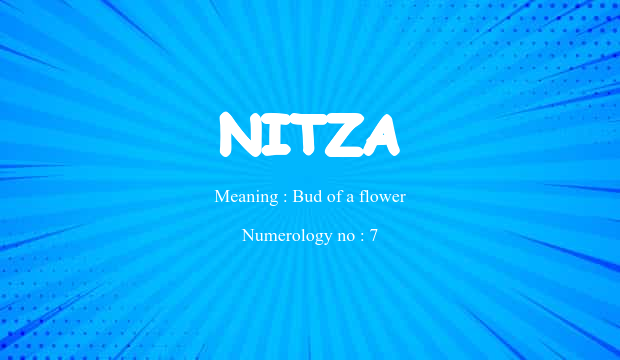 Nitza Name Meaning