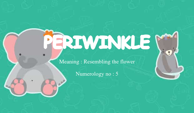 Periwinkle Name Meaning