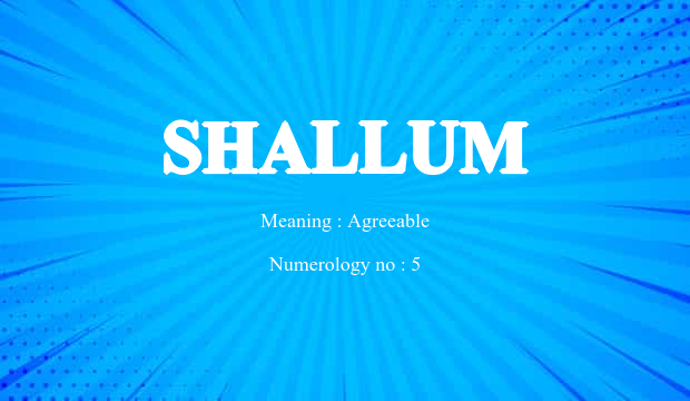 Shallum Name Meaning