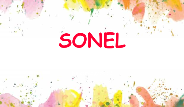 I Love You Sonal Logo