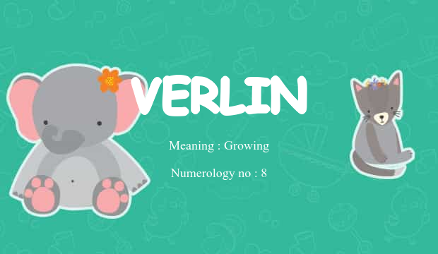 Verlin Name Meaning