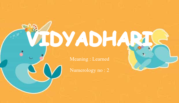 Vidyadhari Name Meaning