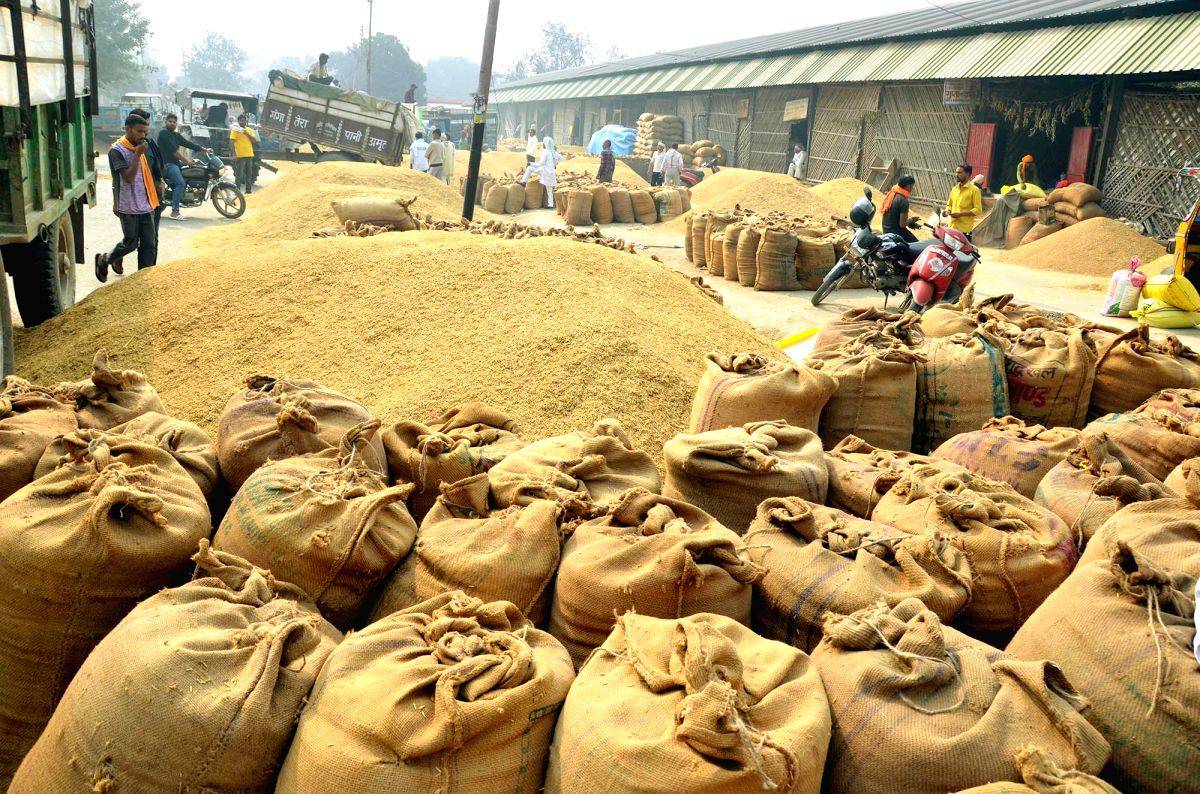 Paddy procurement in western UP will begin on October 1